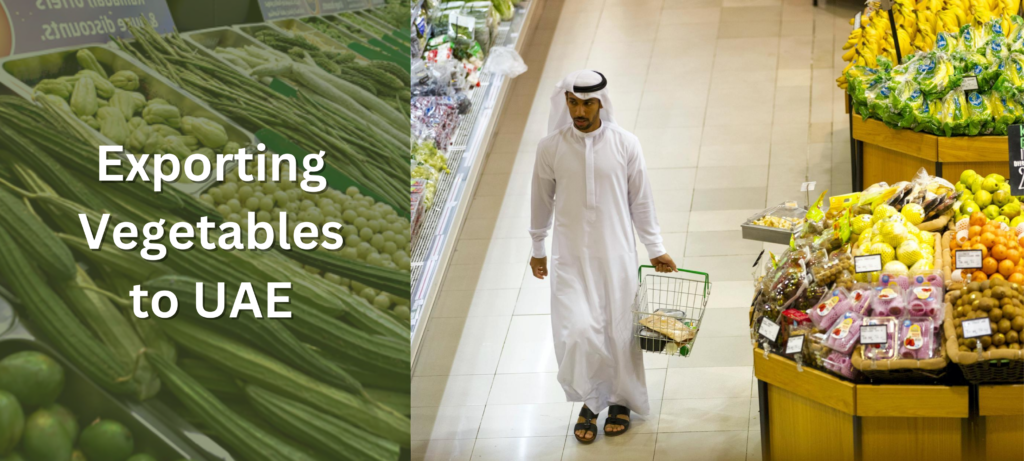 Exporting Vegetables to UAE From Pakistan