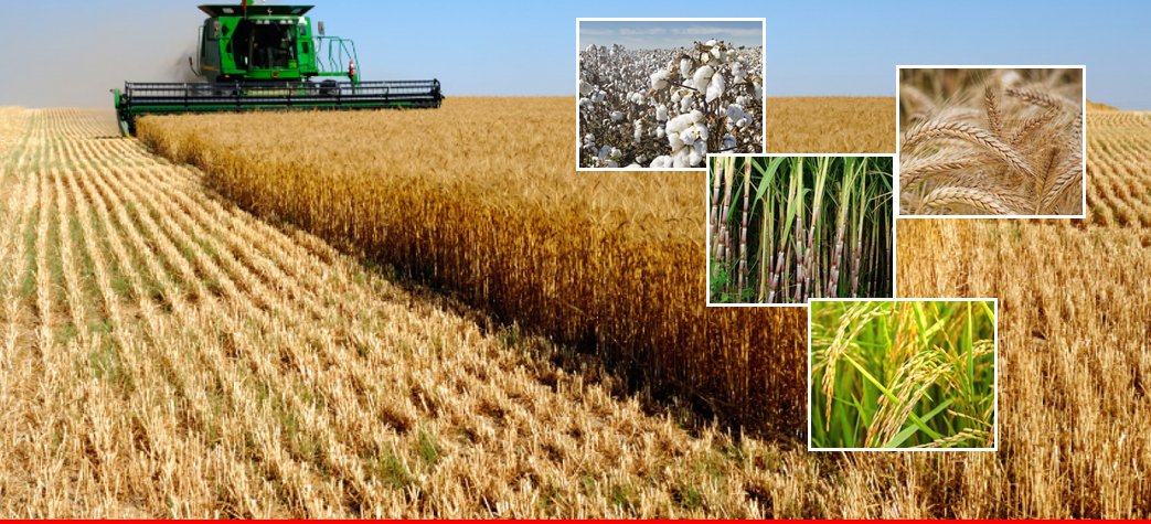 Pakistan's agriculture sector potential – Pakistan & Gulf Economist