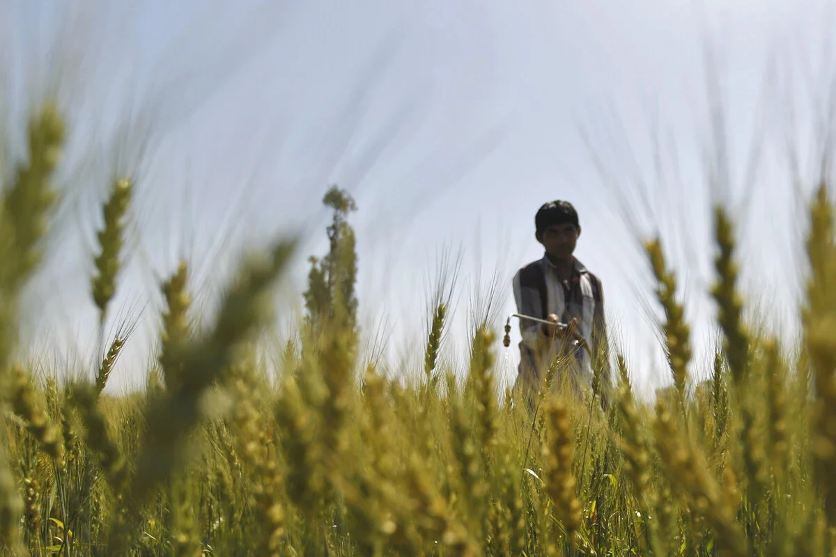 How mining could help scale up global food production