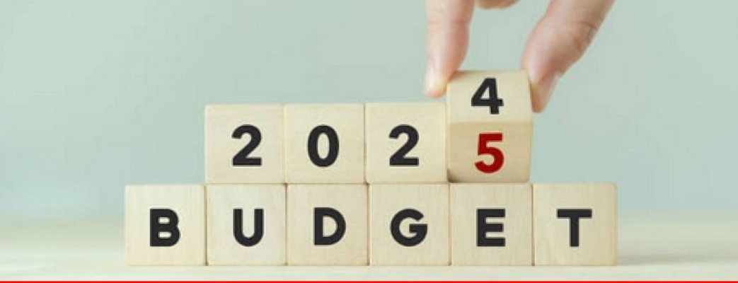 Budget blues – Pakistan & Gulf Economist