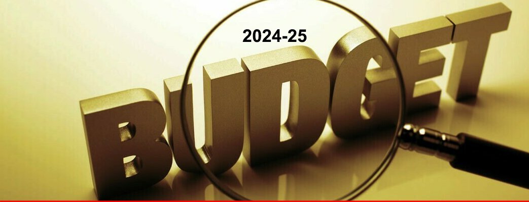 Budget 2024-25: An overview – Pakistan & Gulf Economist