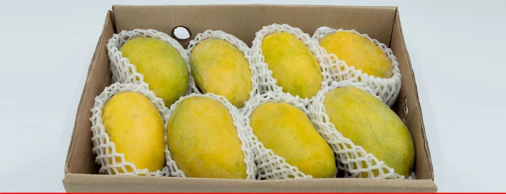 Pakistan Mango Export Market: Opportunities and Challenges – Pakistan ...